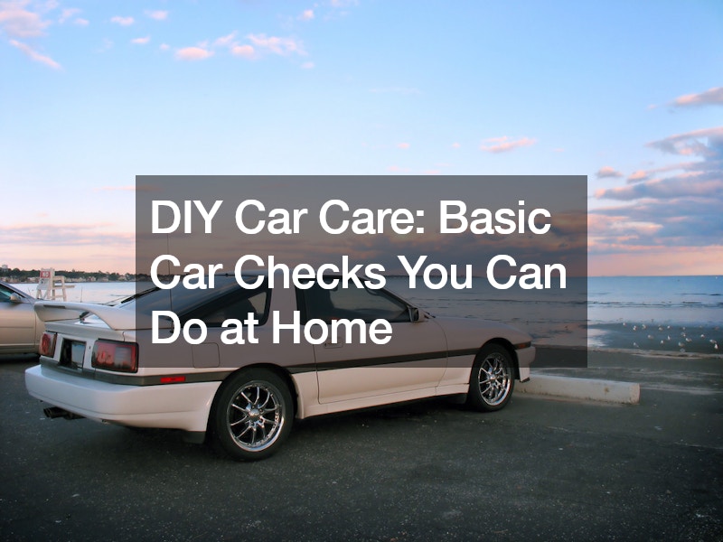 DIY Car Care Basic Car Checks You Can Do at Home - Welcome Big Wigs