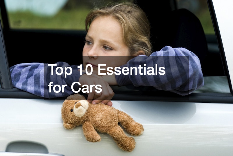 Top 10 Essentials for Cars - Welcome Big Wigs